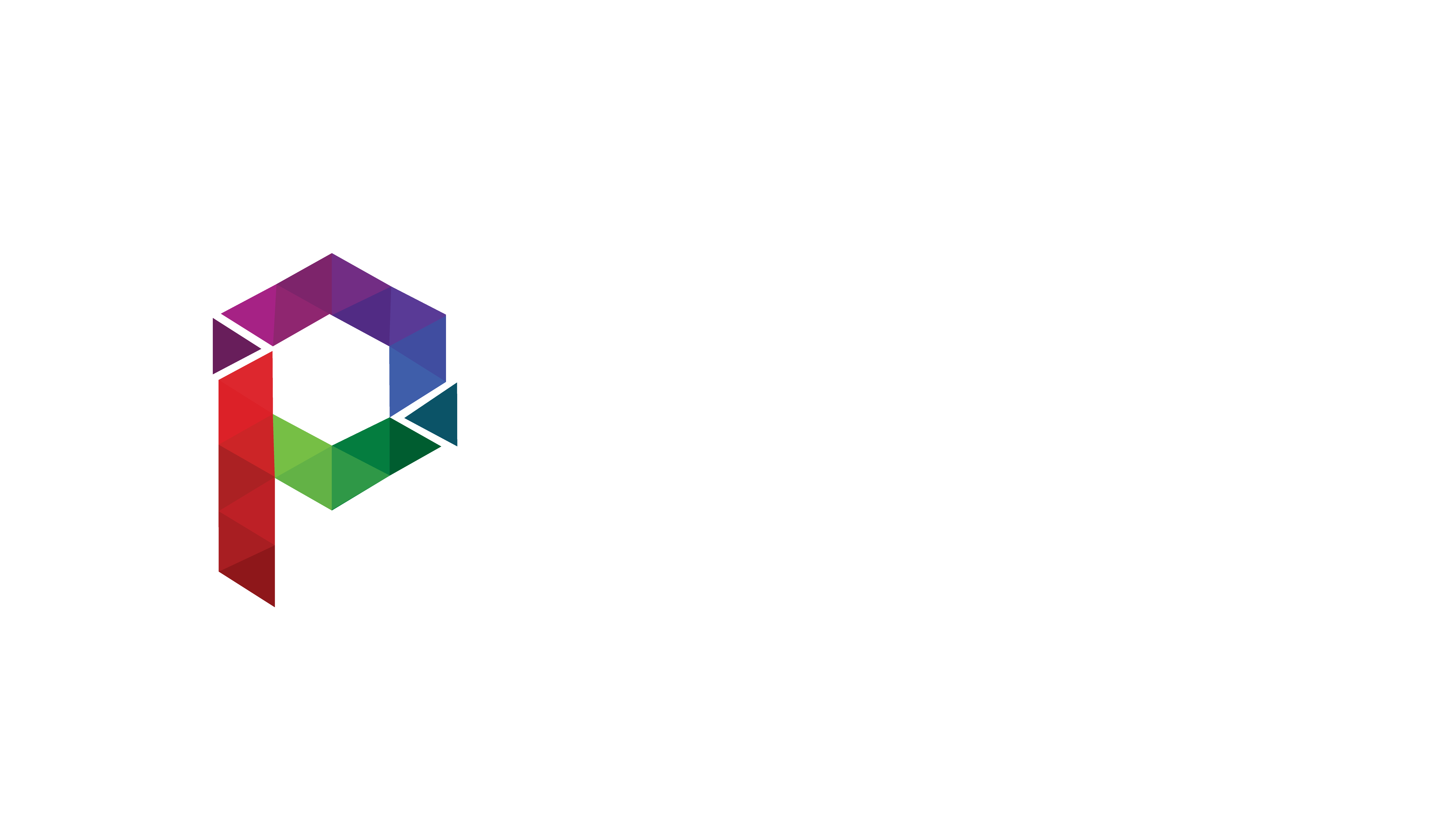 Photon Brains | Connecting Brains, Driving Innovation